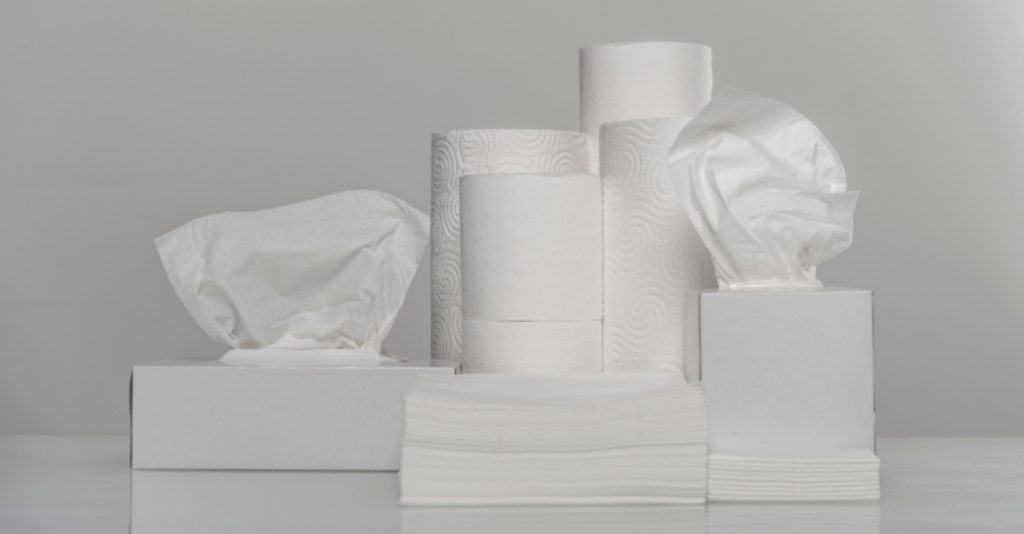El proyecto de la nueva fábrica de papel tissue de ICT avanza en el ...